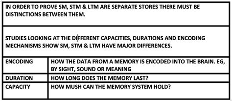 Types Of Memory And Features Of Each Memory Store — Memory — Psychstory