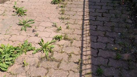 Nd Excape I M Running Away From Danger On My White Espadrillas And I Lose A Shoe I Start