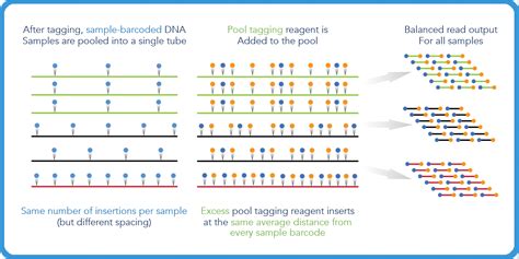 Sample Mass Input Is More Always Better
