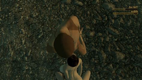 Not Sure What Went Wrong Fallout Technical Support LoversLab