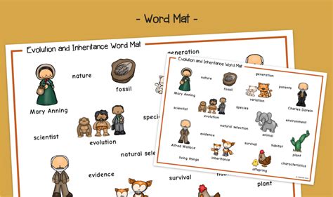 Evolution And Inheritance Word And Picture Mat Ks2 Evolution And Inheritance Primary Science
