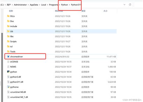 python selenium环境搭建（已更新新版chromedriver下载地址） csdn博客