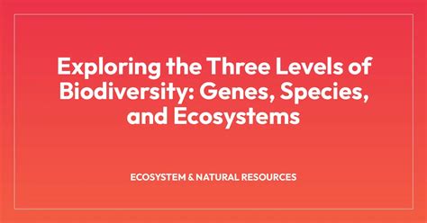 Exploring The Three Levels Of Biodiversity Genes Species And