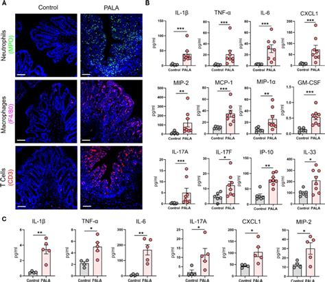 A Novel Murine Model Of Pyoderma Gangrenosum Reveals That Inflammatory Skin Gut Crosstalk Is