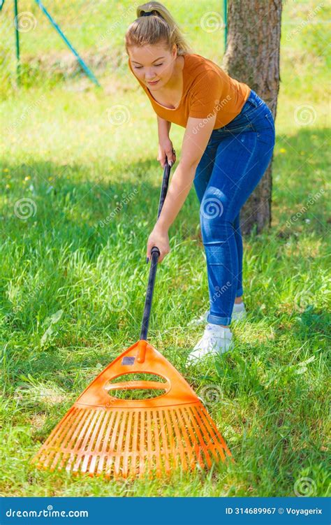 person raking green lawn stock image image of gardening 314689967