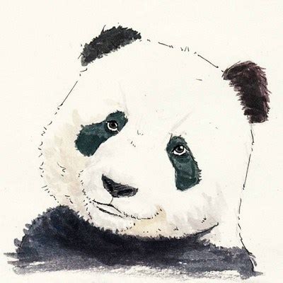 Java JavaDoc 重大升级支持Markdown文档注释 少安事务所