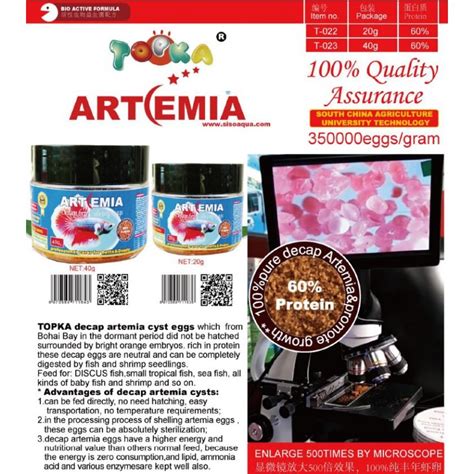 Artemia