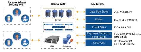 What Is The Difference Between Hsm And Kms Savis Group