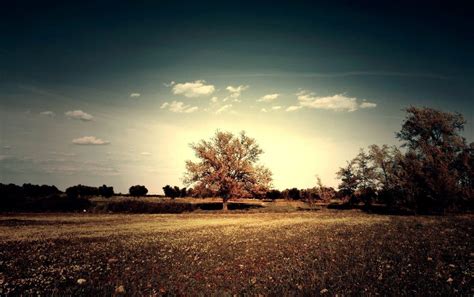 Contrast Wallpapers Top Free Contrast Backgrounds Wallpaperaccess
