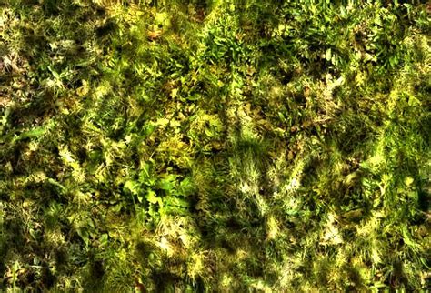 Terrain Textures Looking Awful In One Project Unity Engine Unity