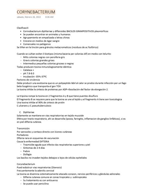 Corynebacterium Pdf