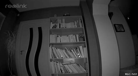 Reolink Cameras And Nvr Or Blue Iris And Home Assistant Kiril Peyanskis Blog