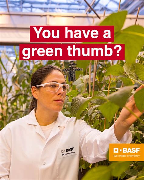 Basf On Linkedin Basf Agriculture Innovation Career Greenthumb