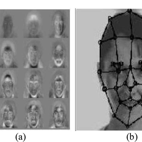 Face Recognition A Sampie Eignfaces B Eiaandic Bunch Graph Download Scientific Diagram