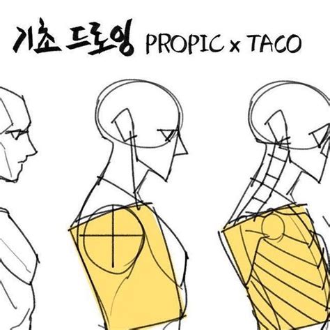 타코작가 on Instagram 타코 타코작가 드로잉 캐릭터 그림강좌 일러스트 웹툰 만화 그림 미술 인체 스케치 캐릭터드로잉 concept
