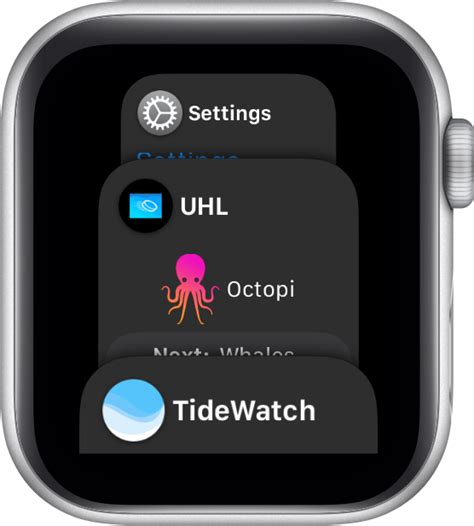 WatchOS With SwiftUI By Tutorials Chapter Snapshots Kodeco