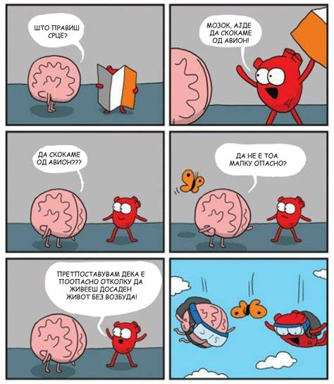 Јане Стефанов On Twitter На 6 март 2023 година започнува Обуката за падобранци почетници