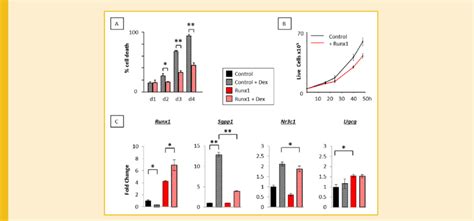 Runx Protects Lymphoma Cells Against Dexamethasone Mediated Apoptosis Download Scientific