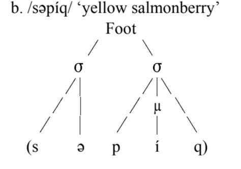 Syllable Rhyme Inlp Linguistic Glossary