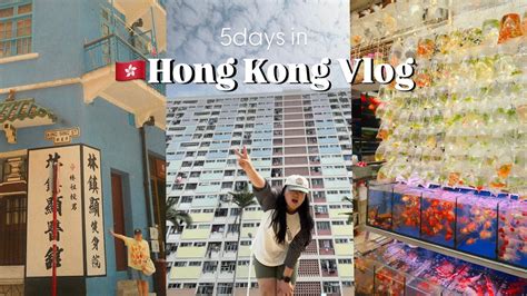 🇭🇰나혼자홍콩 4박5일 행복했나요네니오🤍 해피밸리경마장요즘홍콩느좋카페블루하우스애문생란퐁유엔 Youtube