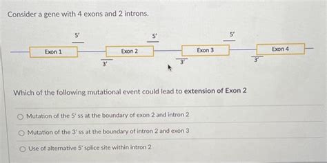 Solved Consider A Gene With 4 Exons And 2 Introns Which Of