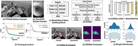 sample images from datasets a fphab and b openeds c mobilenetv2 download scientific