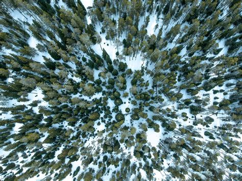 decision tree regression how exactly do decision trees work by