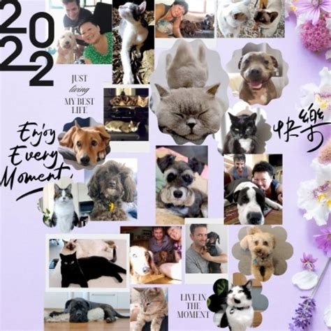 David And Jye House Sitter Reliable And Mature Sitters