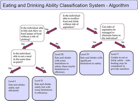 Implementing The Eating And Drinking Ability Classification System Edacs Research — Scope