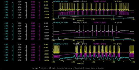 Modulation Mcgovern Medical School