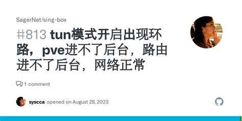 Tun模式开启出现环路，pve进不了后台，路由进不了后台，网络正常 · Issue 813 · Sagernet Sing Box · Github