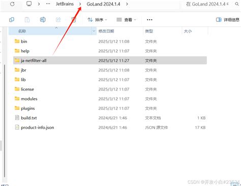 golang开发 goland 编译器安装 并且配置环境 goland环境配置 csdn博客