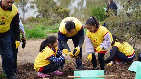 Tree Plantation Drive Adelaide Australia