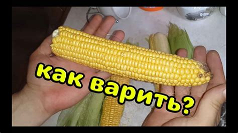 Как ВКУСНО сварить КУКУРУЗУ самый ЧЕСТНЫЙ способ простой СЕКРЕТ Youtube