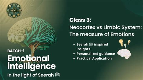 Class 3 Emotional Intelligence Neocortex Vs Limbic System The Measure Of Emotions Youtube