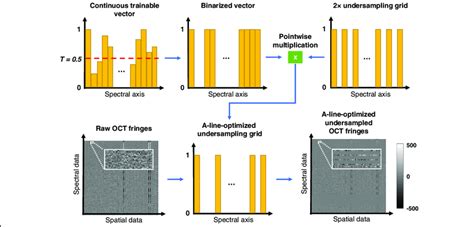 schematic of the a line optimized spectral undersampling method a