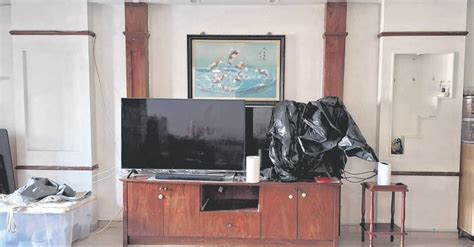 S8k Worth Of Furniture Damaged After Termites From Electrical Room