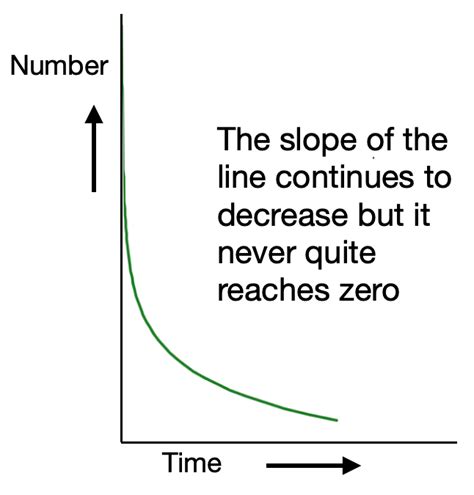 Exponential Graphs The Fizzics Organization