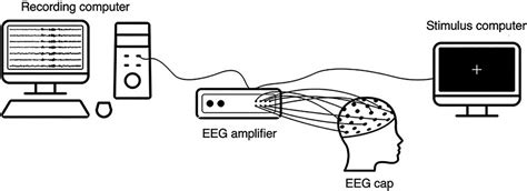 Human Brain Imaging With High‐density Electroencephalography
