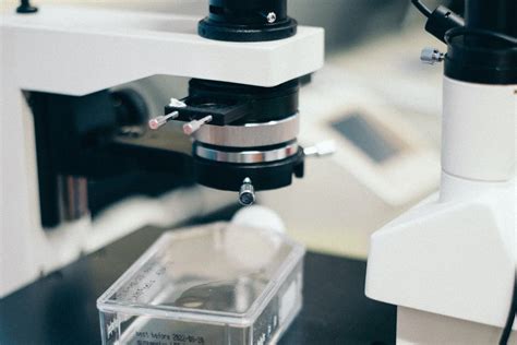 Services 3 — Institute Of Bio Sensing Technology Services 3 — Institute Of Bio Sensing Technology