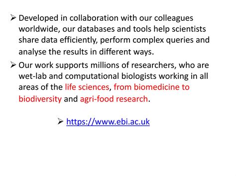 Bioinformatics Ppt
