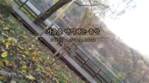 가을을 만끽하는 음악 YouTube