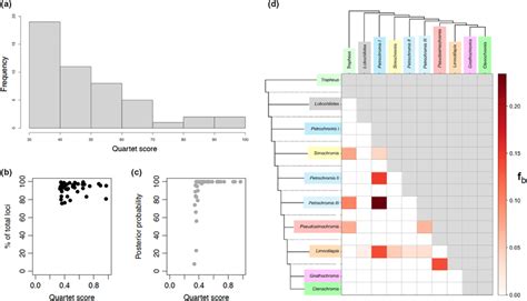 Extent Of Incomplete Lineage Sorting Ils And Hybridization In The Download Scientific Diagram