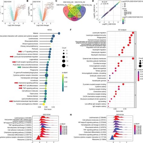 bioinformatic analyses of inflammatory responses dominating a typical