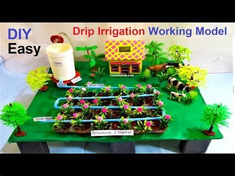 Drip Irrigation Agriculture Working Model For Science Project Exhibition Diy Howtofunda Artofit