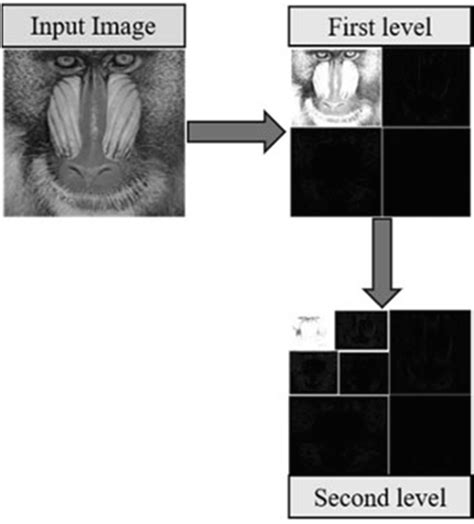 Second Level Lwt Decomposition Download Scientific Diagram