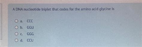 Solved A Dna Nucleotide Triplet That Codes For The Amino