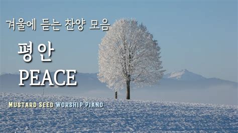 🎹𝐏𝐥𝐚𝐲𝐥𝐢𝐬𝐭 겨울에 듣는 찬양 모음 평안 Peace Ccm Piano Compilation 중간광고 없음