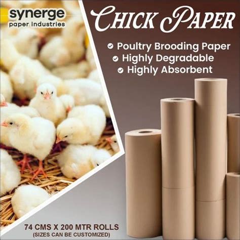 60 Inch Poultry Brooding Paper Chick Paper Rolls At ₹ 100pack