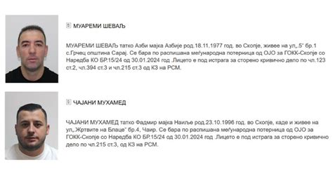 Телевизија 24 Лога ги потпиша барањата за екстрадиција на Шеваљ